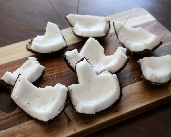 Confiture de Coco – Coconut Jam – The Dessert Spoon