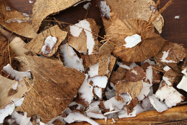 Confiture de Coco – Coconut Jam – The Dessert Spoon